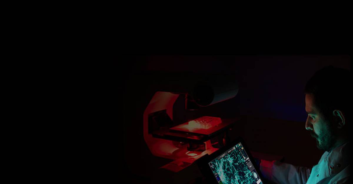 bit.bio - Cambridge&